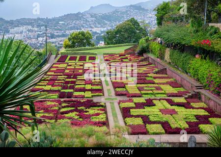 different coloured beds form patterns in the Funchal Botanical Garden ...