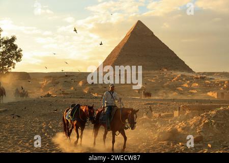 Cairo, Egypt. 24th Jan, 2024. A vendor of animal riding service for ...