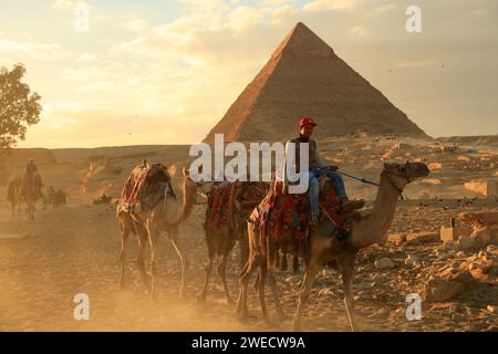 Cairo, Egypt. 24th Jan, 2024. Vendors of animal riding service for ...