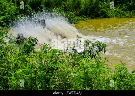 Paddle-wheels being used to aerate rural pond with green foliage on ...