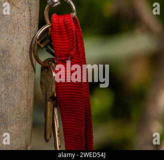 metal key hanging on a red ribbon, red background, copy space Stock ...