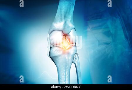 Anatomy of knee joint on medical background. 3d illustration Stock ...