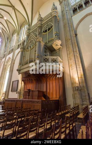 The pipe organ inside St Martin's Cathedral in the historic inner city ...