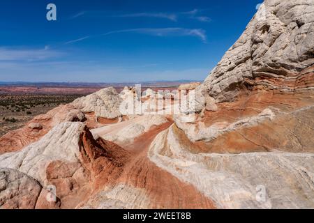 Eroded white pillow rock or brain rock sandstone in the White Pocket ...