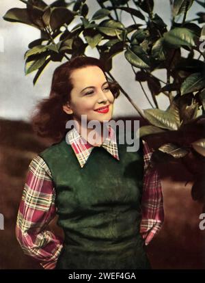 Olivia De Havilland Film The Snake Pit (USA 1948) Characters: Virginia ...