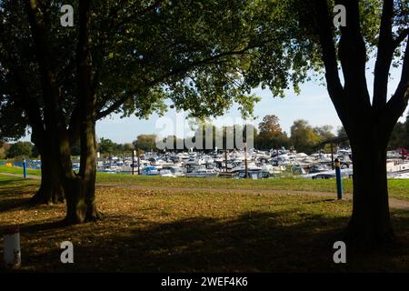 Marina at Upton-upon-Severn, Worcestershire, UK Stock Photo - Alamy