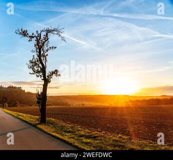 Furchen Im Ackerboden, Abendsonne, Berlin, Germany Stock Photo - Alamy