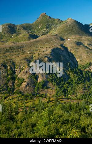 Coldwater Peak from Johnston Ridge, Spirit Lake Memorial Highway, Mt St ...
