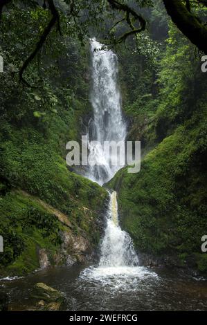 waterfall in Nyungwe forest National Park, Rwanda Stock Photo - Alamy