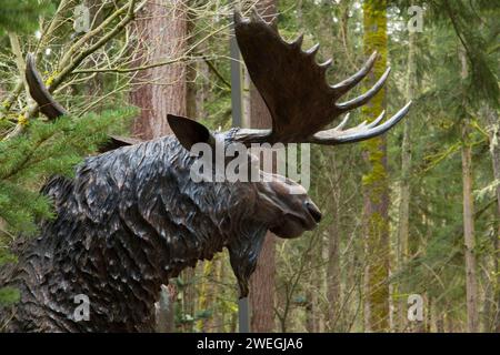 Moose statue, Northwest Trek Wildlife Park, Washington Stock Photo - Alamy