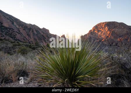 View of The Window, a gap in the Chisos Mountains caldera.. Big Bend ...