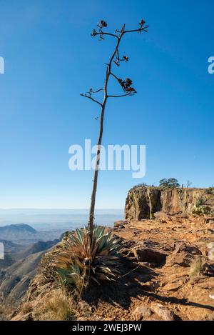 Photograph from the South Rim, Chisos Mountains. Big Bend National Park ...
