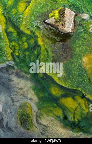 Algae rock underwater green reflection. High quality photo Stock Photo ...