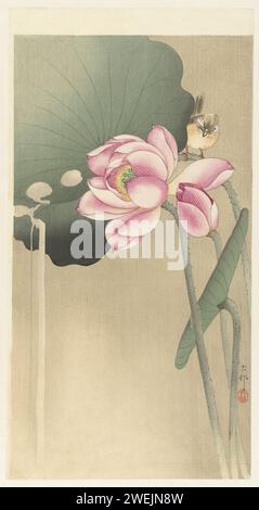 Ohara Koson – Songbird on a Plant with Red Berries (Zangvogel op plant ...