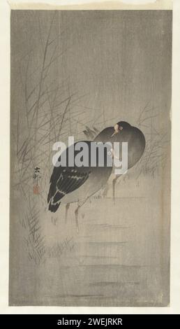 Two Waterhoertjes, 1900 - 1930 print Two water fowls in shallow water ...