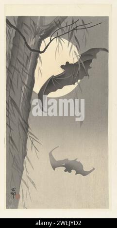 Full moon with bats flying on the blue sky at dusk Stock Photo - Alamy