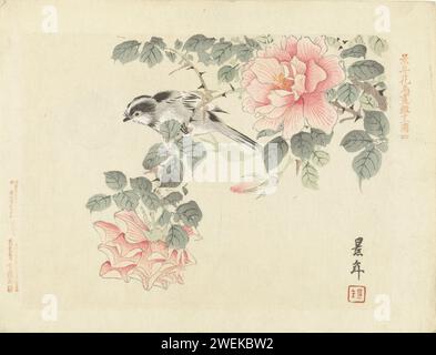 Black and white bird between pink roses; Flower and bird sketches of ...