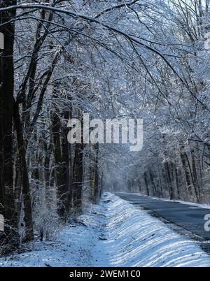 Snow covered wooded area Stock Photo - Alamy