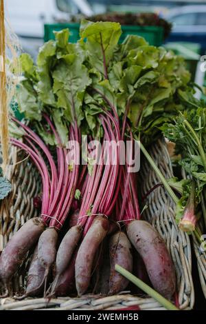 beetroot on the market counter Stock Photo - Alamy