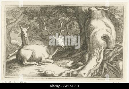 Deer; Animals. Two deer are at the foot of a huge tree. Print from a ...