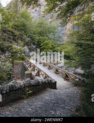 A vertical shot of the woman from behind standing in front of Liberty ...