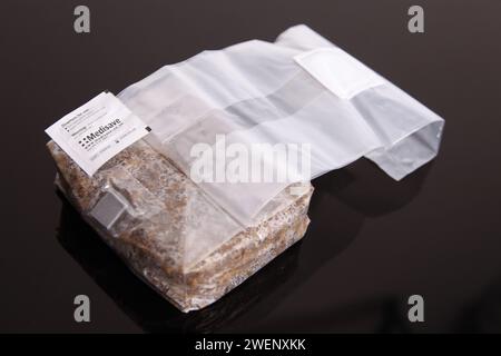 Mycology, growing mushrooms, inject and forget grow kit bag Stock Photo ...