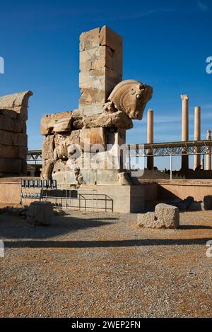 Bull capital. Carved Achaemenid columns at Persepolis, Iran. Hall of ...