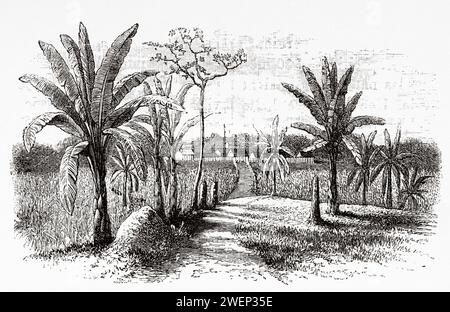 Exterior view of Camp Fort Bodo. Africa. Emin Pasha Relief Expedition ...