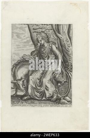 Tree of intemperance Stock Photo - Alamy