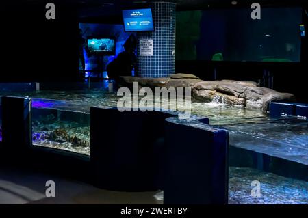 Empty touch pools tank area where visitors can touch some fish species ...