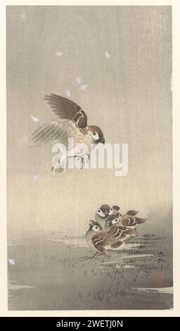 Ohara Koson – Tree Sparrows in Flight (Sparrows in flight), c. 1900 ...