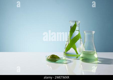 Front view of seaweed leaves and essence on beaker and petri dish on ...