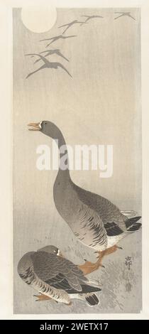 Ohara Koson – Two Geese (Twee ganzen) | Archium Stock Photo - Alamy