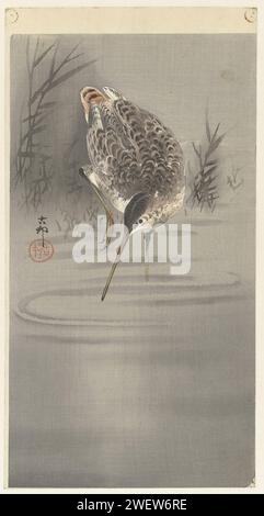 Ohara Koson – Snipe in Water (Shigi), c. 1900-1930 | Archium Stock ...
