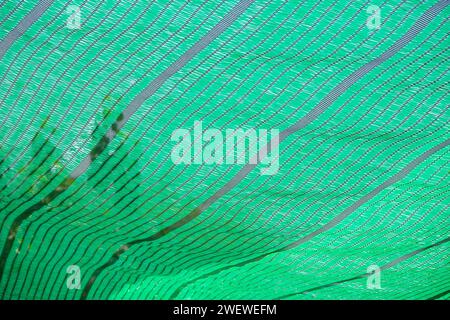 Green Shading Net protect sun light Stock Photo - Alamy