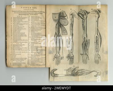 Aged latin anatomy book. An old anatomy book with its pages on display ...