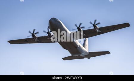 Low flying Lockheed Hercules above a startled flock of starlings on a ...