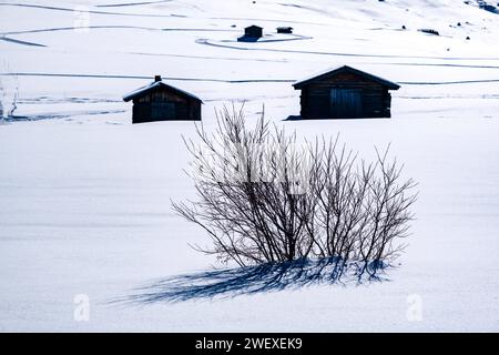 Hilly agricultural countryside with a dry bush and two wooden huts on ...