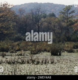 Amish Country Byway - Killbuck Marsh Stock Photo - Alamy