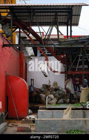 Mauritius, Tea plantation, Tea factory Bois Chéri., Mauritius, tea ...