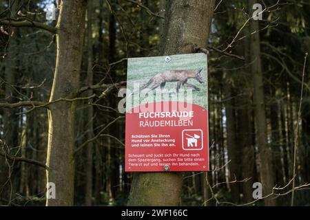 German Warning sign for dog with generalized demodectic mange ...