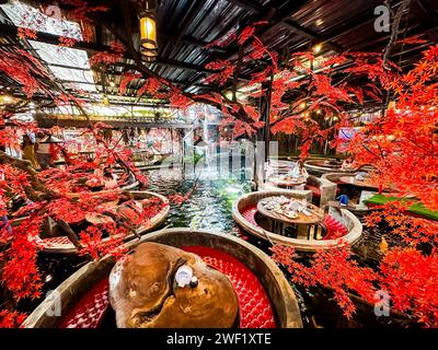 Carp Cafe in Chiang Mai, Thailand Stock Photo - Alamy