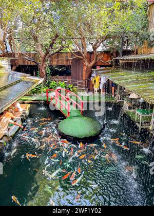 Carp Cafe in Chiang Mai, Thailand Stock Photo - Alamy