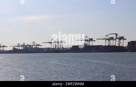 Container ship at Tokyo International Container Terminal, Tokyo, Japan ...
