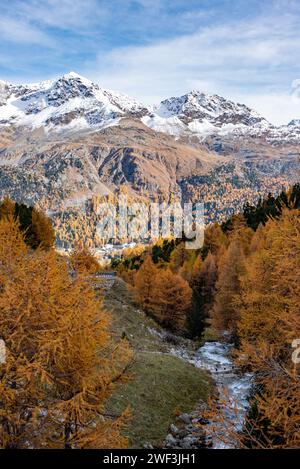 The scenic Julier Pass in Switzerland in autumn Stock Photo - Alamy