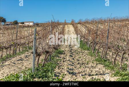 Unique topography and diversity of Soils in the Jerez la Frontera area ...