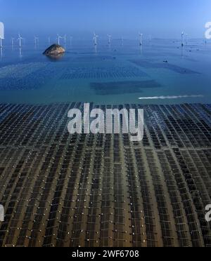 Nanri Island Seaweed Harvest Stock Photo - Alamy