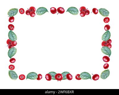 Red cranberries on a green branch with foliage. Wild berries in the ...