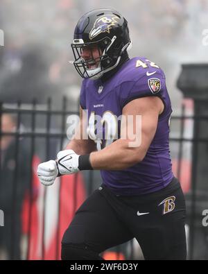 Baltimore Ravens' Patrick Ricard in action during an NFL football game ...