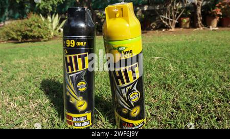 Hit brand, mosquito repellent and fly and mosquito killer New package ...
